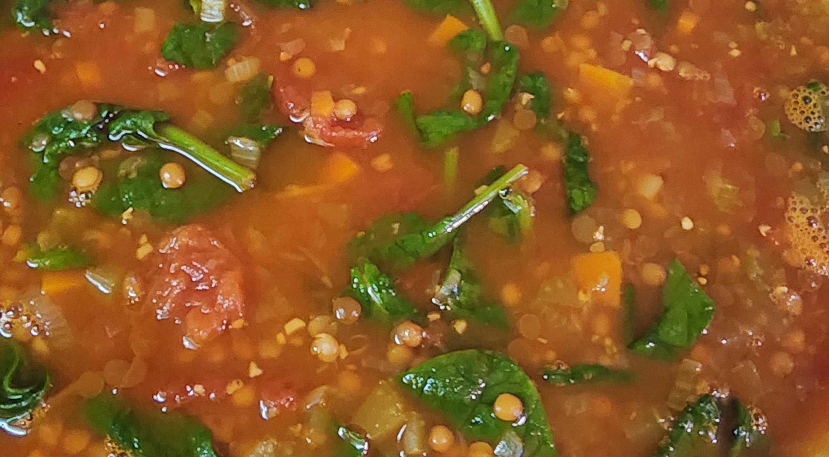 Sopa italiana de lenteja y espinaca – HolMedVita
