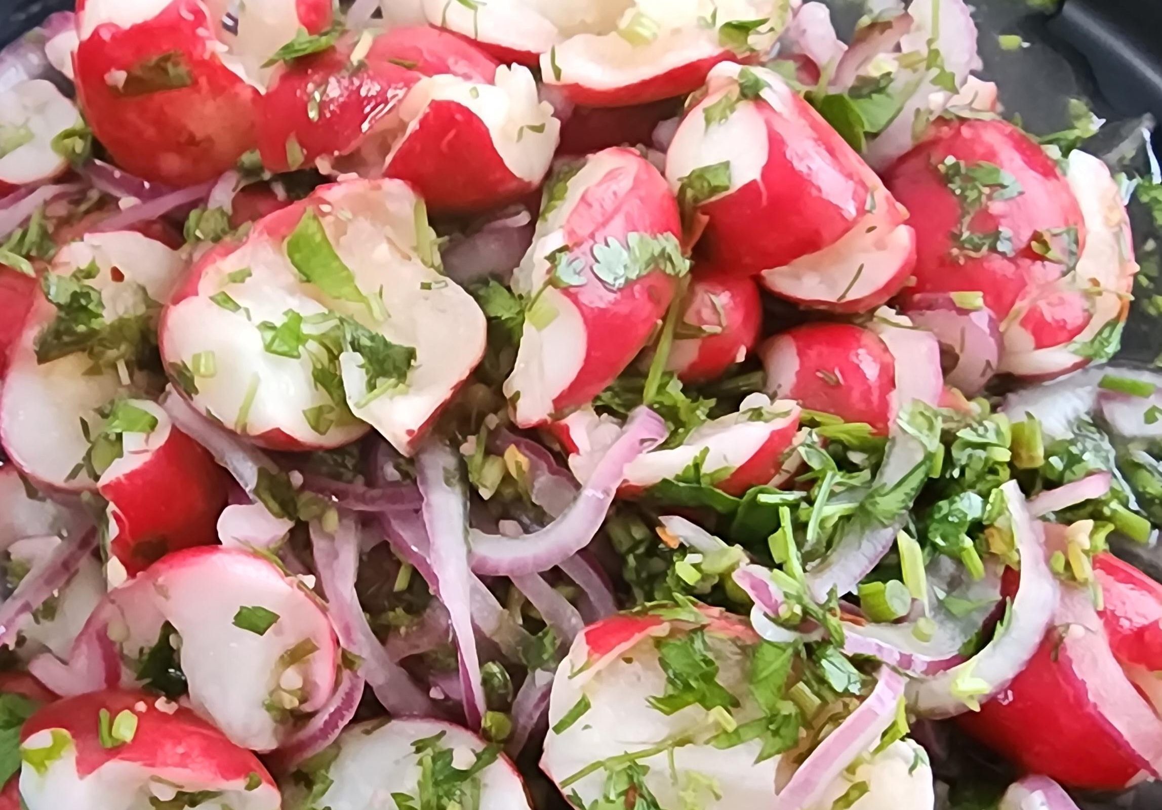 Ensalada De Rábano Castigado Holmedvita